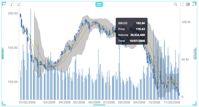 Altair Panopticon Web Authoring Help - Details Variable Configuration ...
